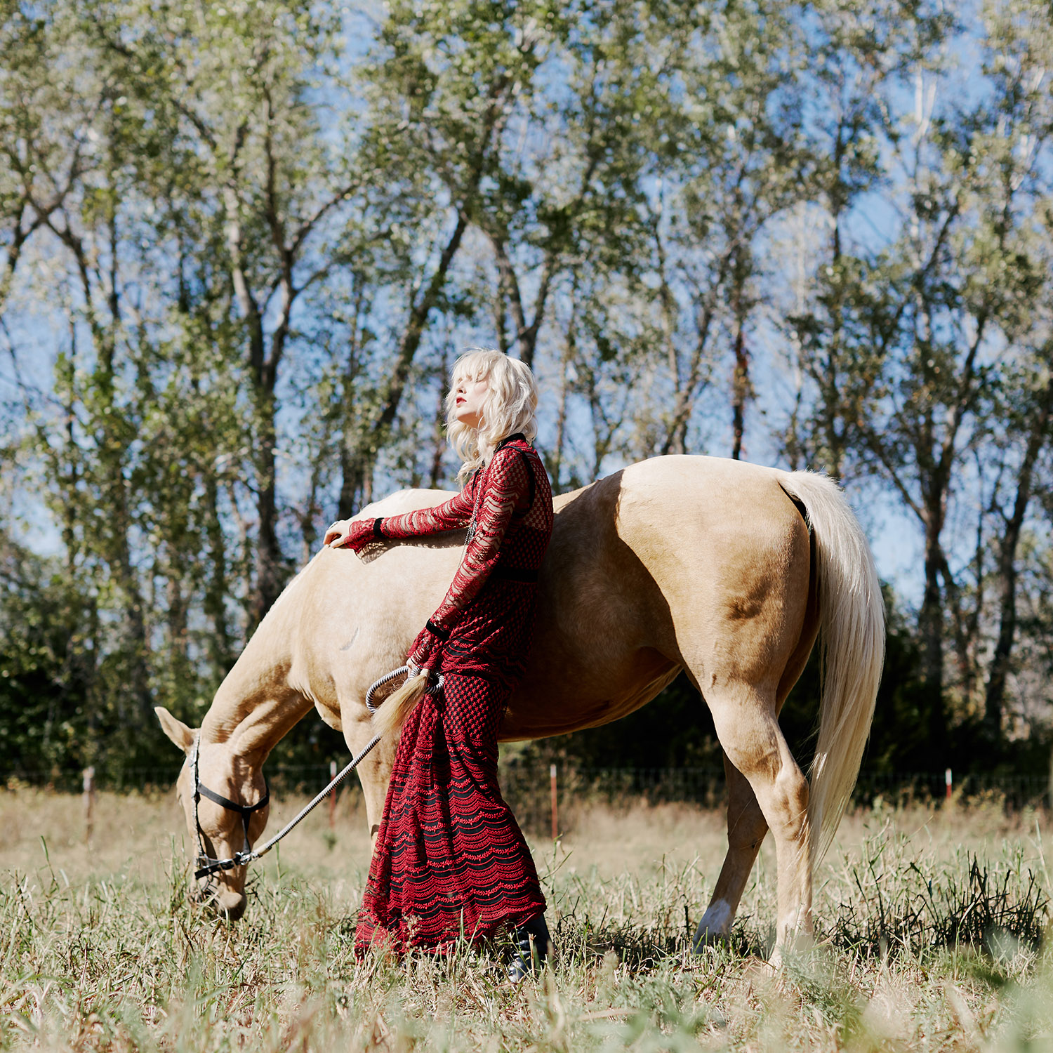 One – Josh Welch Photography