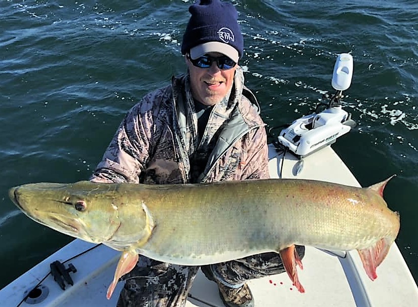 Trophy Gallery – Musky Innovations