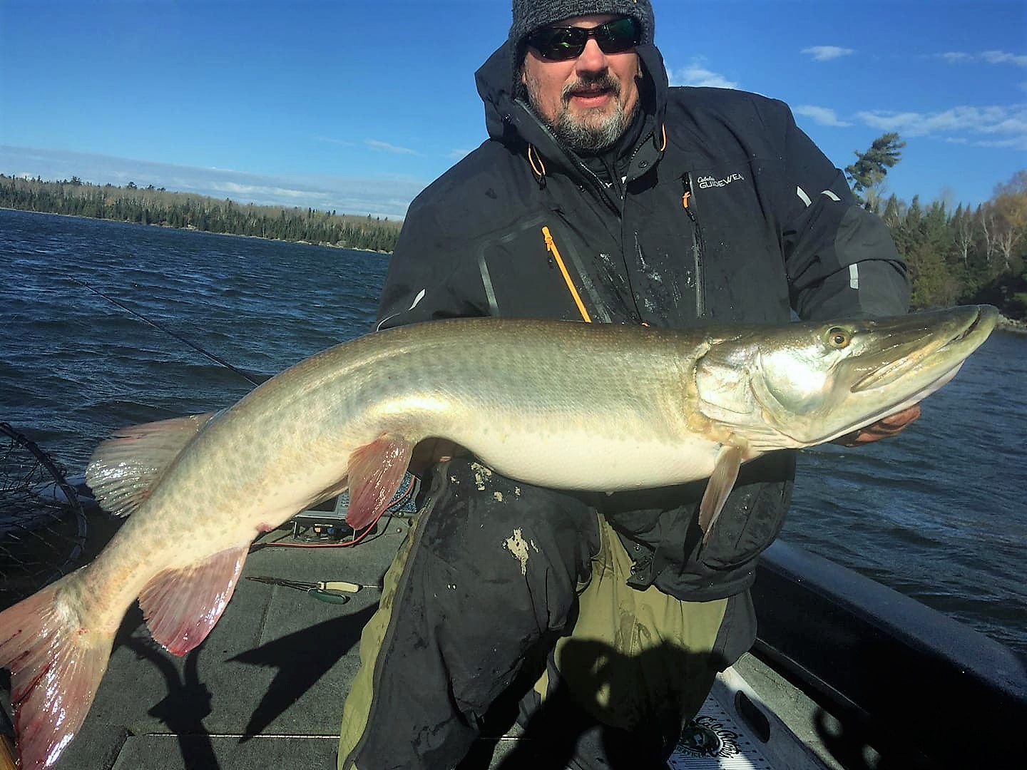 Trophy Gallery – Musky Innovations