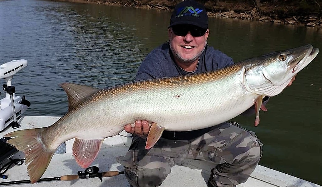 Trophy Gallery – Musky Innovations