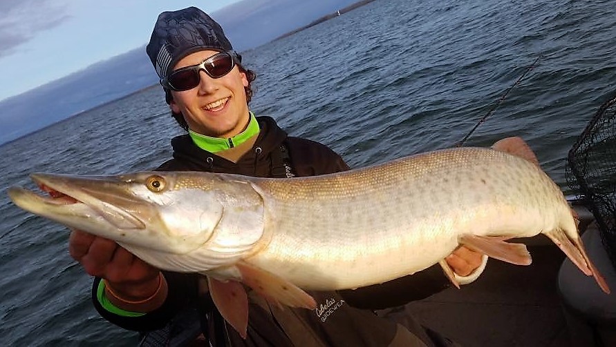 Trophy Gallery – Musky Innovations