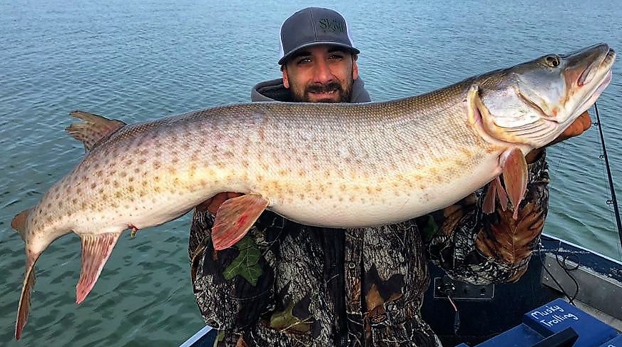 Trophy Gallery – Musky Innovations