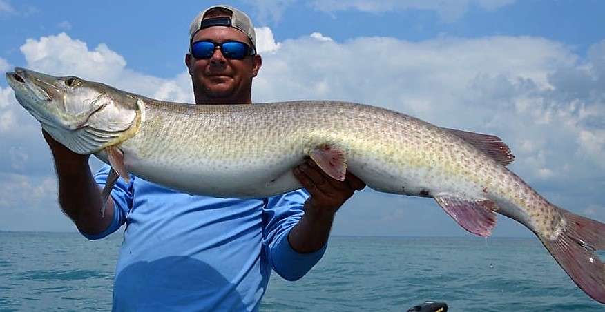 Trophy Gallery – Musky Innovations