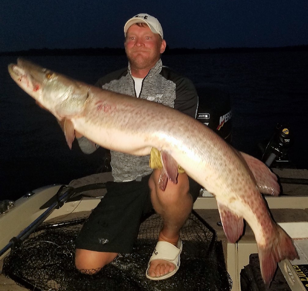 Trophy Gallery – Musky Innovations